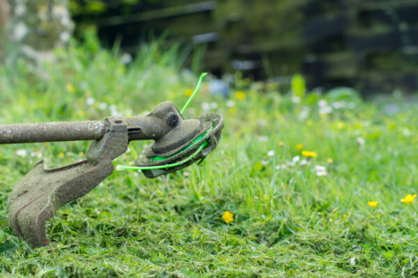 Choosing the right trimmer line for your needs - Extrutec